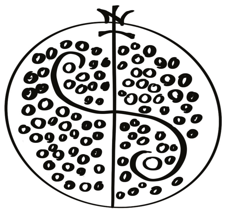 Sigil Service by Storm Faerywolf – Datura Trading